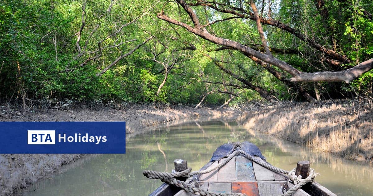 Sundarban Tour Package | Hiron Point & Dublar Char | BTA Holidays